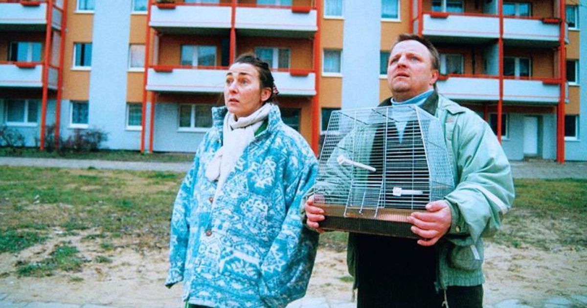 Halbe Treppe de A. Dresen | Kino Visions - Videodrome 2