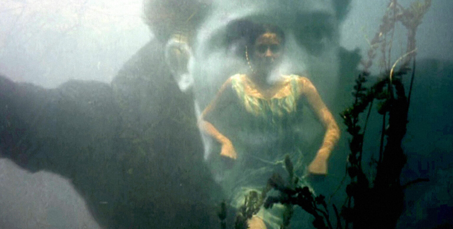 DOUBLE VISION : DARK MATTER OF CINEMA | Silvia Maglioni et Graeme ...